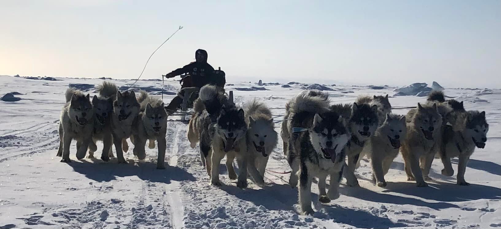 All back safely in Resolute Bay
